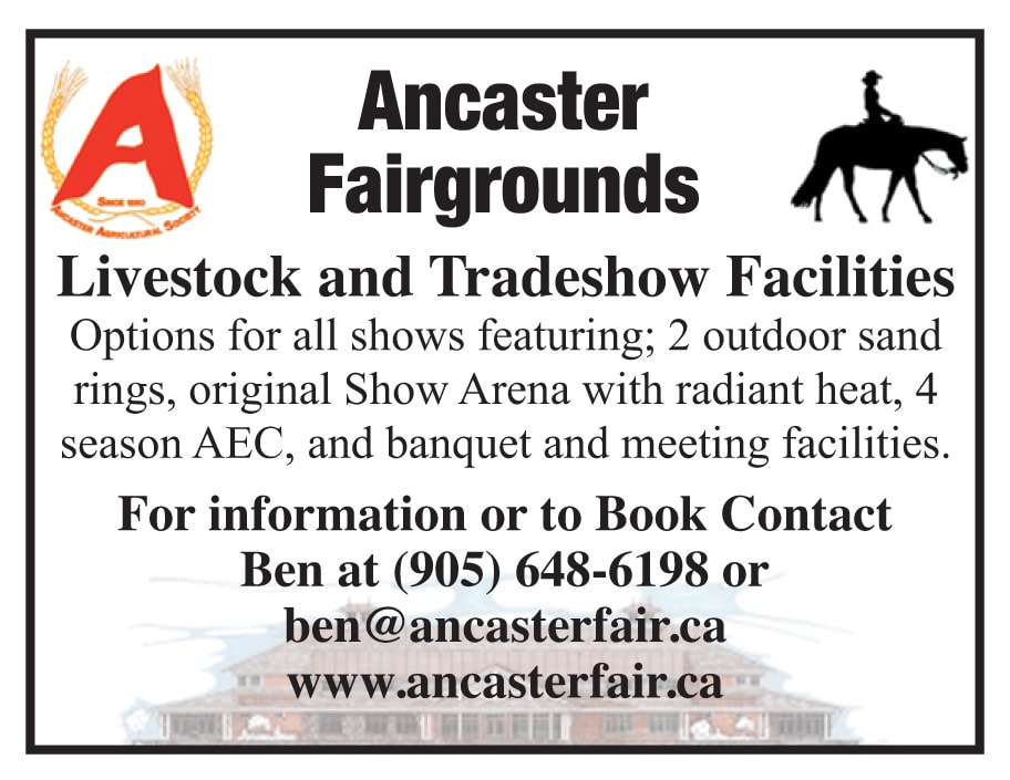 Equine Facilities | Rentals | The Rider Business Directory