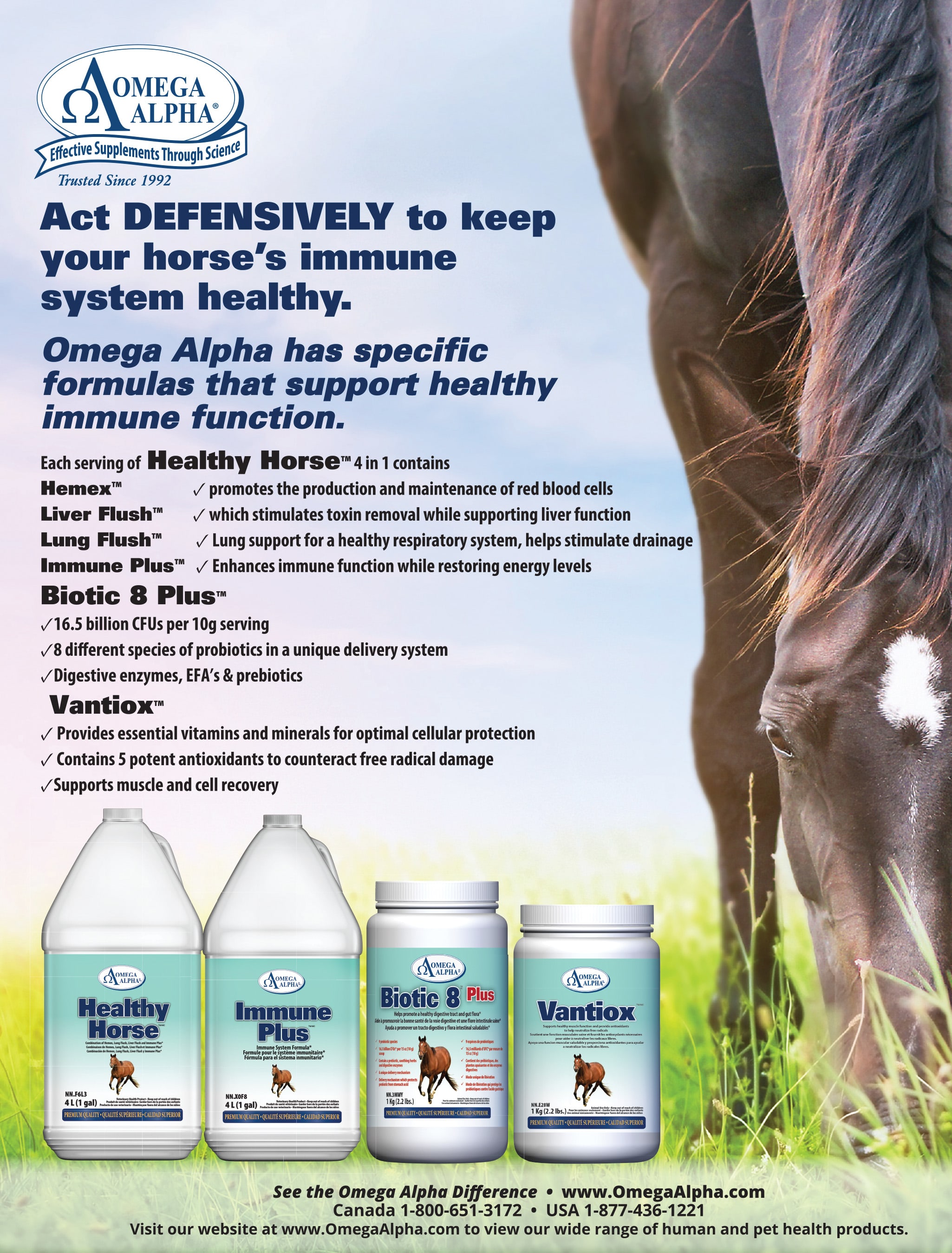 Omega Alpha | Health Care | The Rider Marketplace