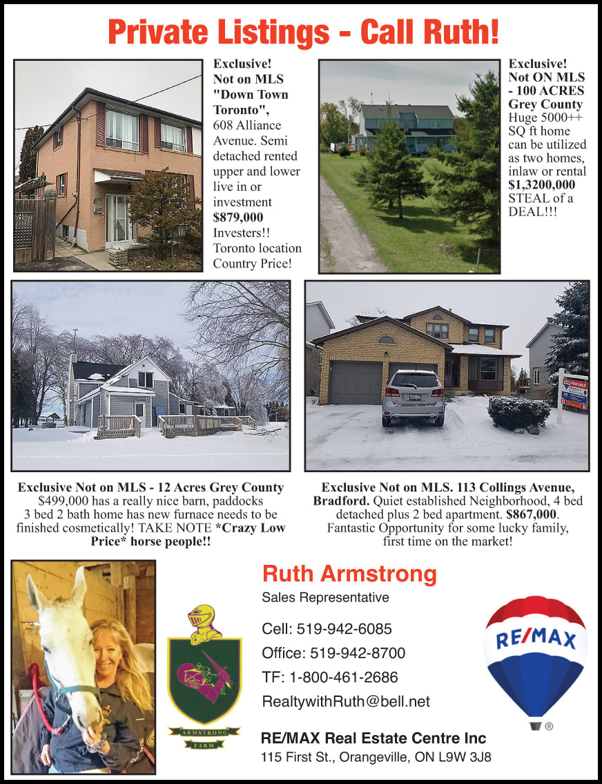 Marketplace | The Rider Equine Newspaper